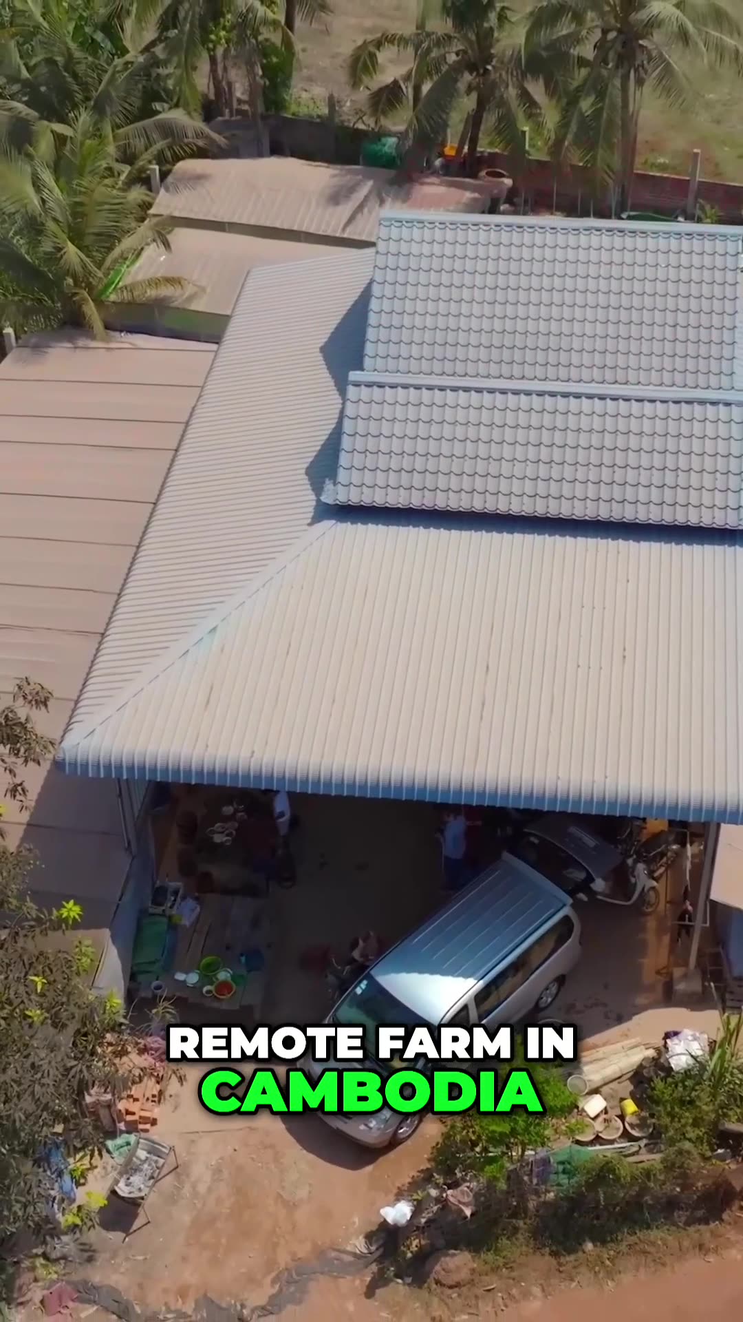 Inside a Cambodian Rat Farm: How They Could Revolutionize Animal ...