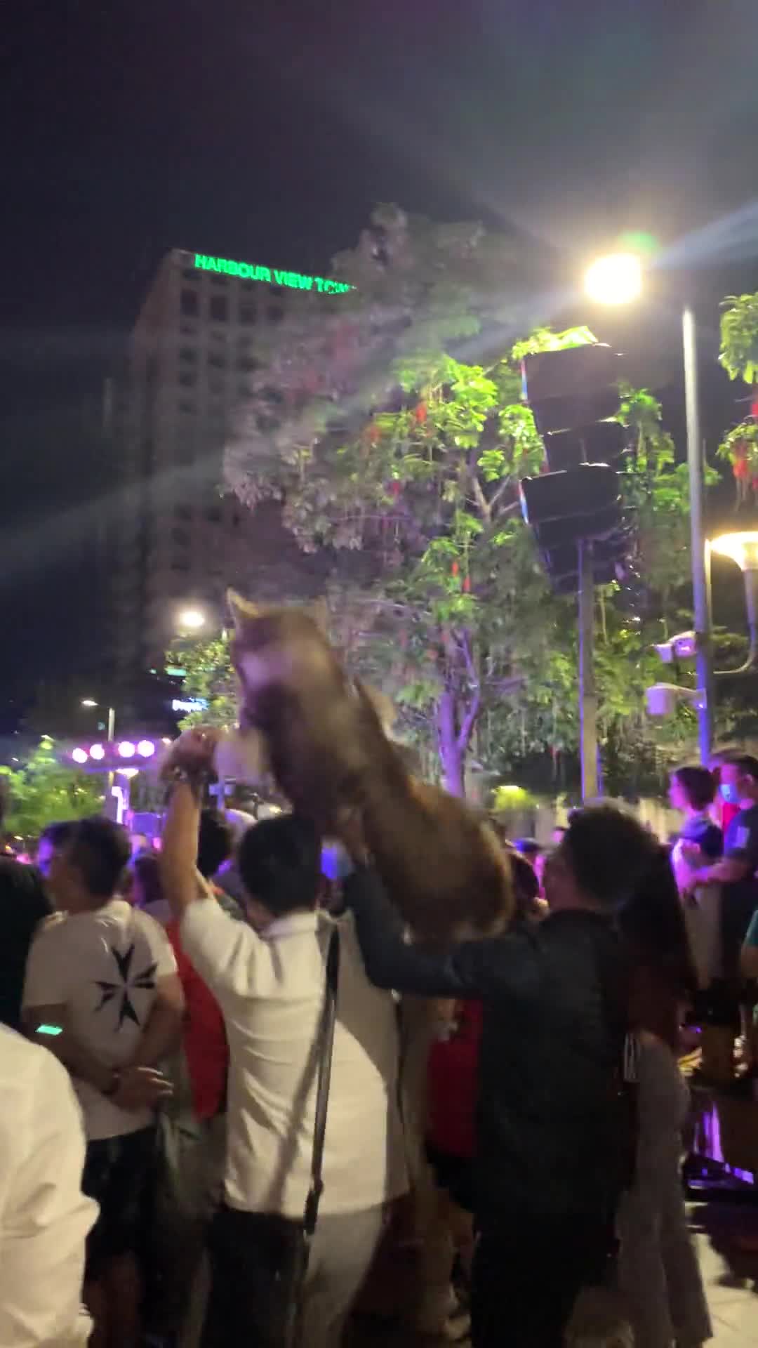 Happy Husky Hoisted onto Shoulders During Gathering