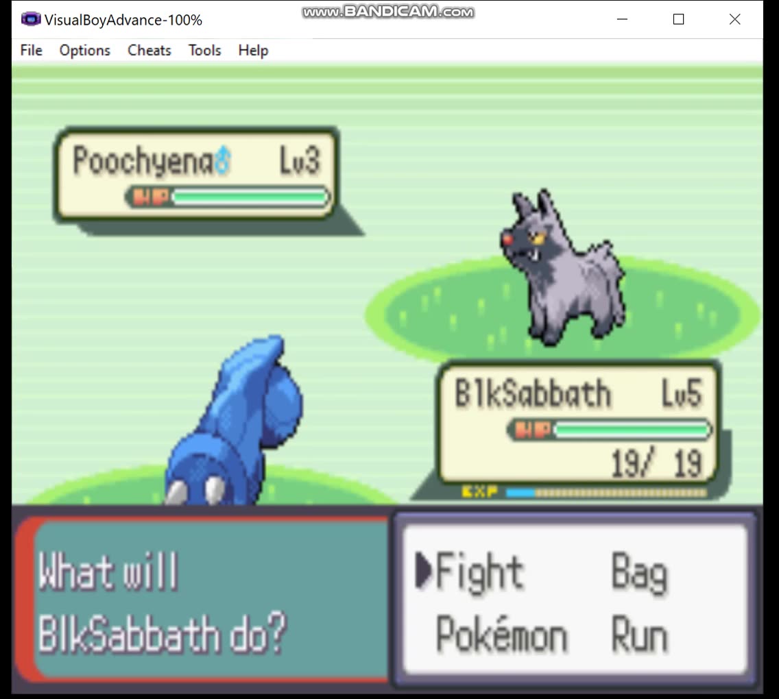 Pokemon Eevee Emerald - Steel Monotype, Episode 1: Introduction