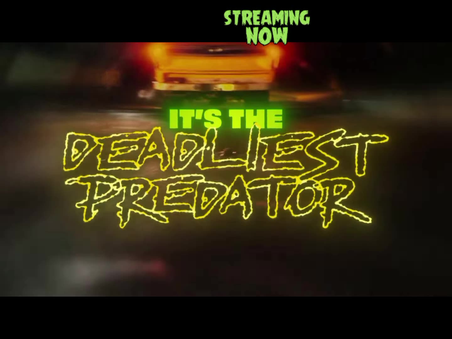 The Invisible Raptor 2024