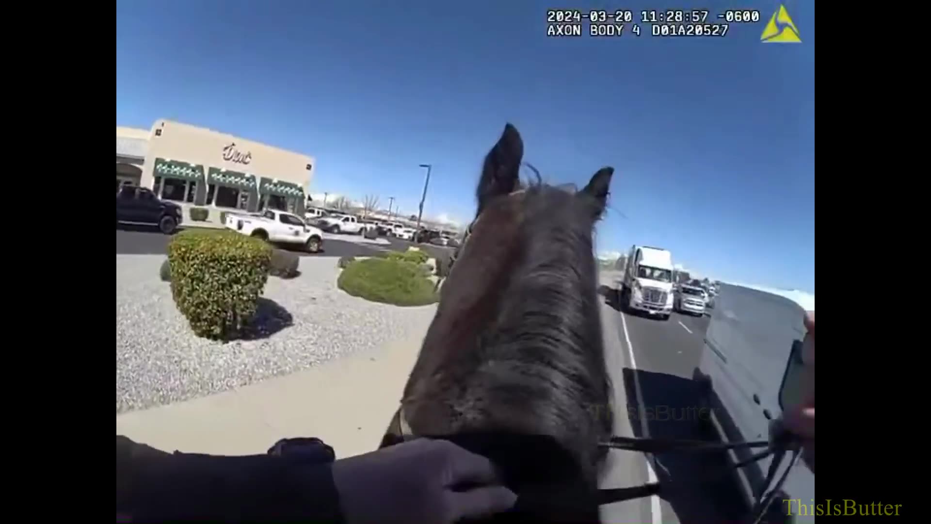 Albuquerque police release bodycam showing mounted unit chasing ...