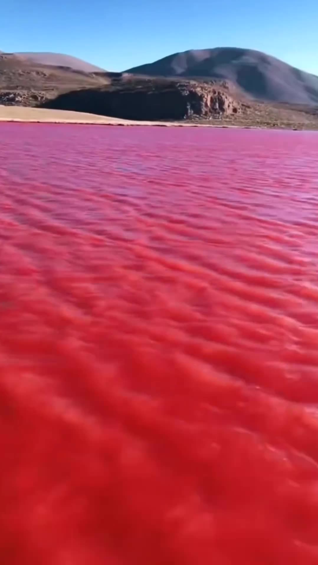 Cosas impresionantes que pasan en el Cocéano🌊🌪️😱