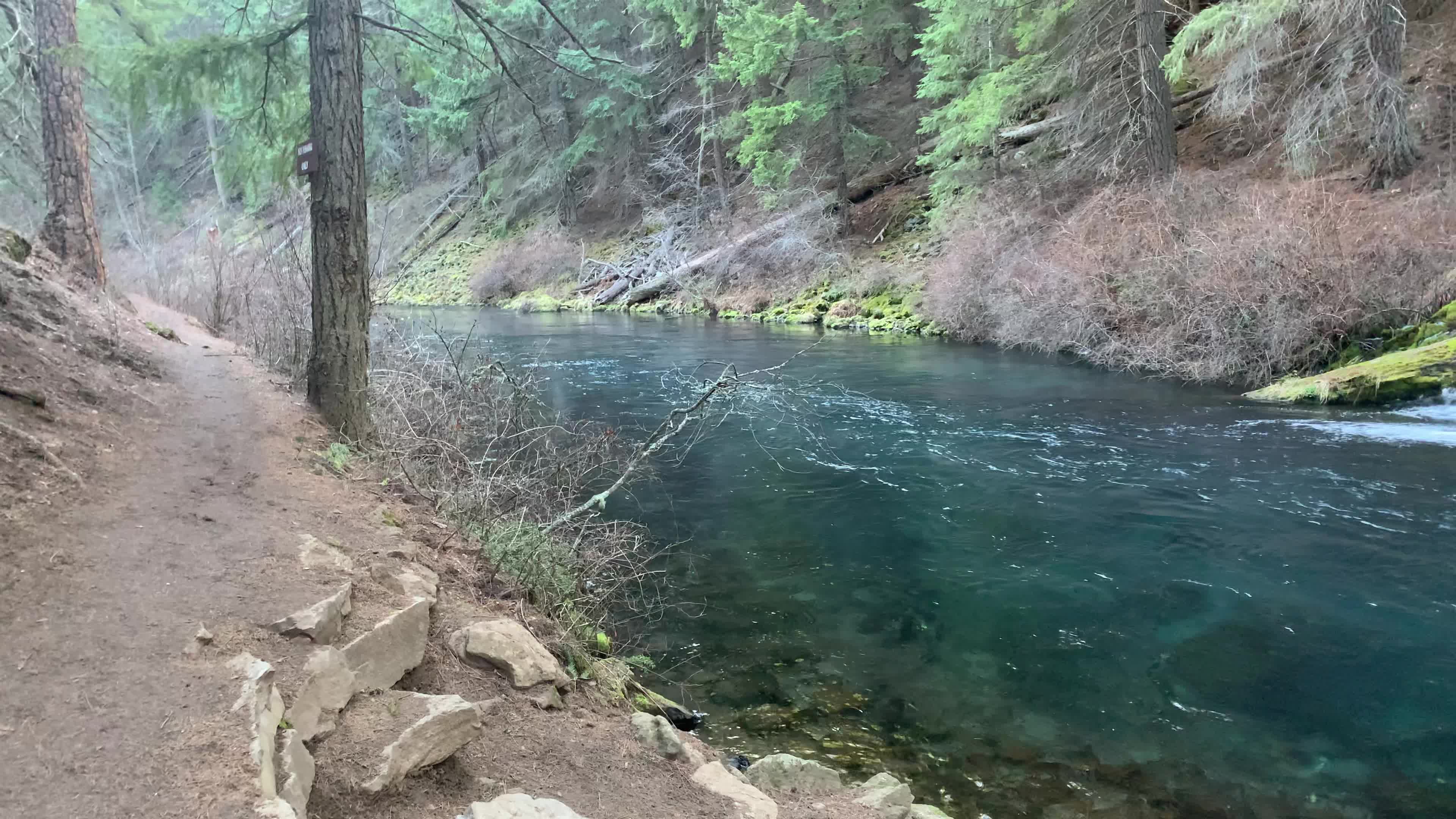 Gorgeous River Hiking – Metolius River National Recreation Area ...
