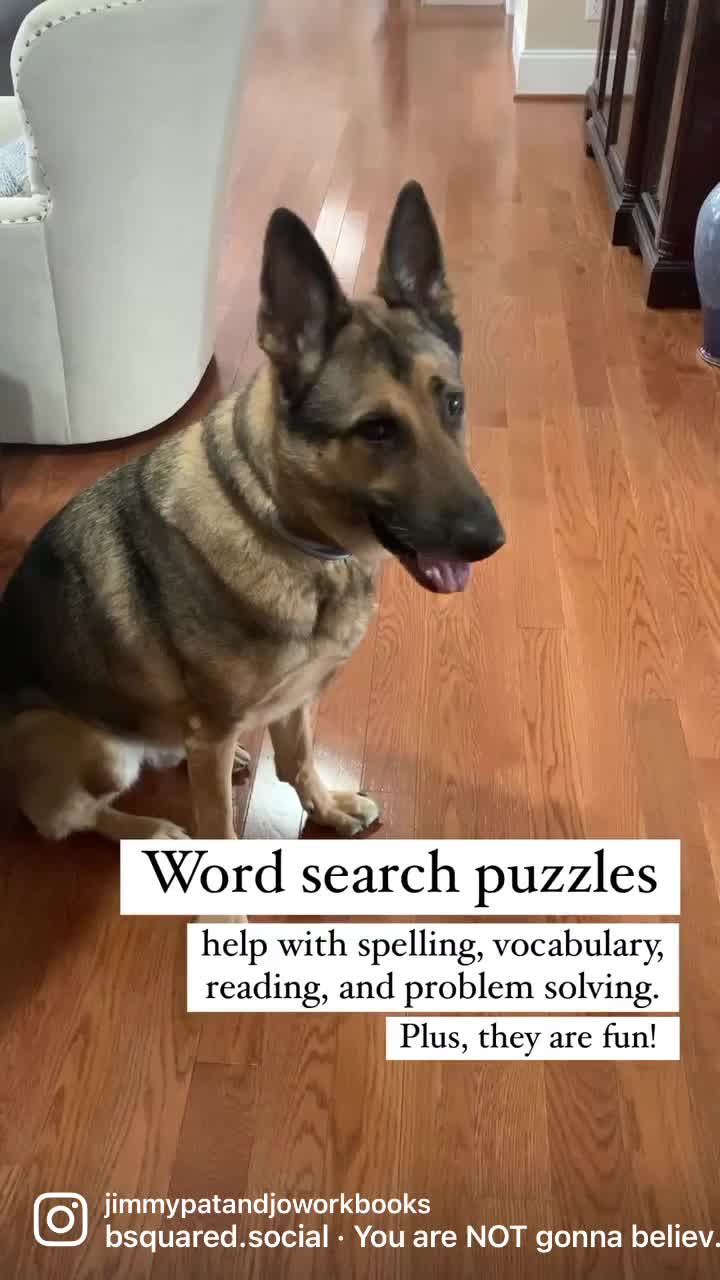 Word search puzzles