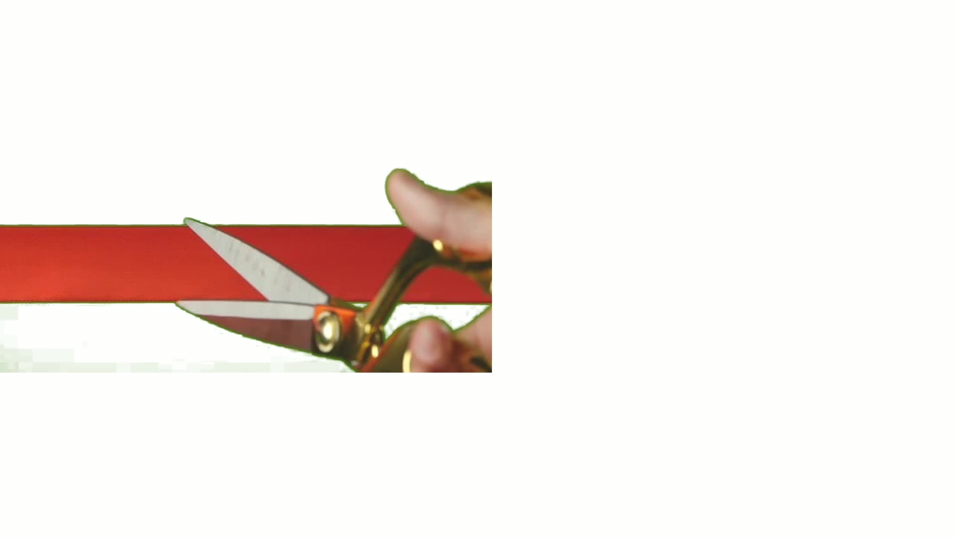 Common Verb in English with Pictures | English vocabulary words | kids ...