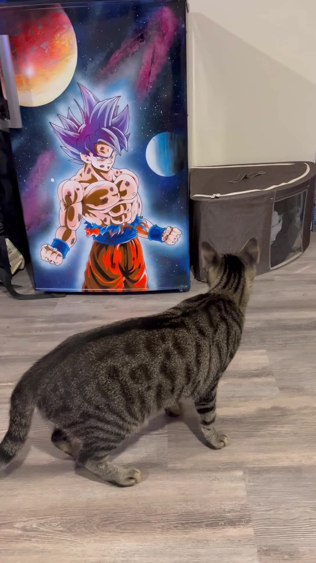 Cat Scared of Goku