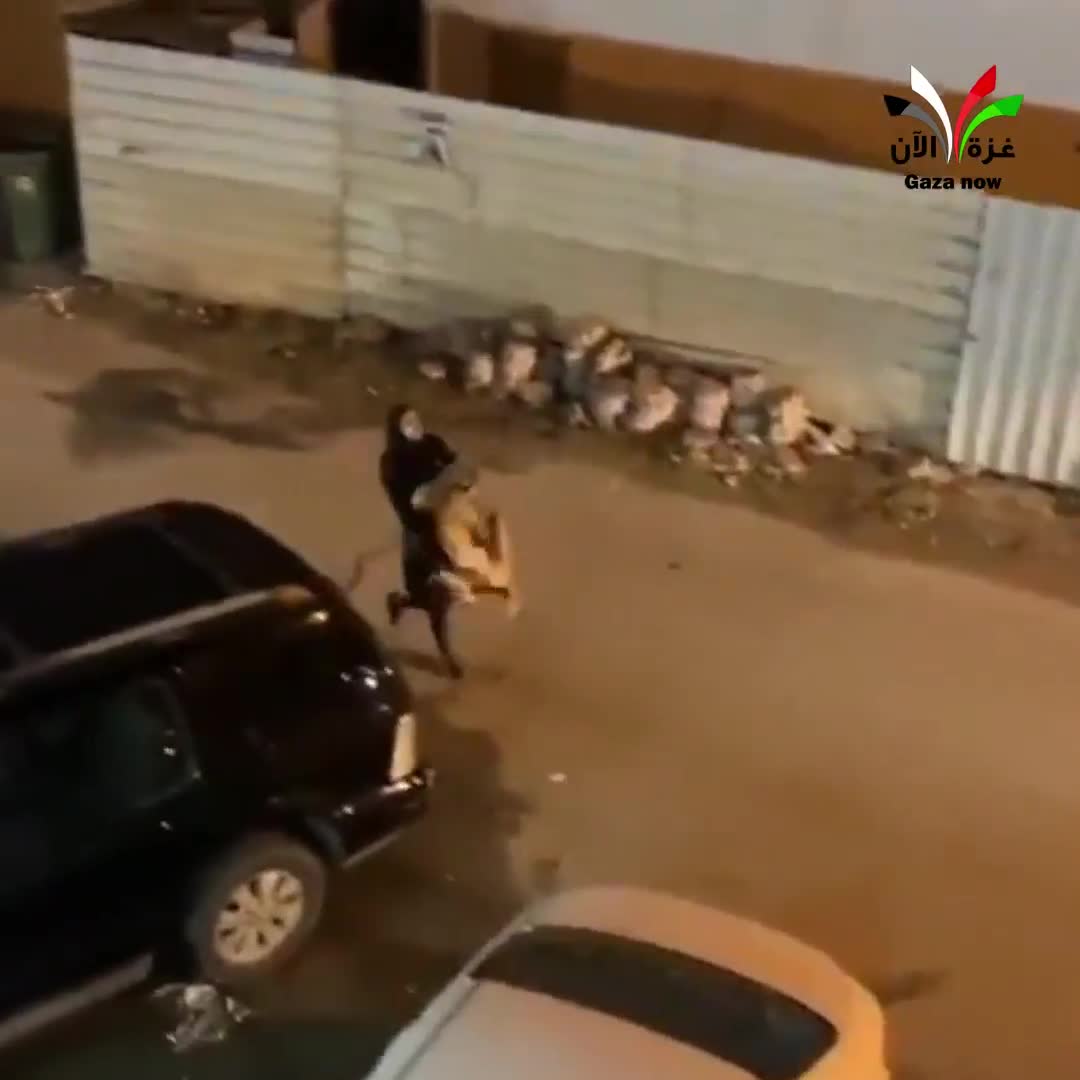 A Muslim woman in Kuwait catches and kills a lion!