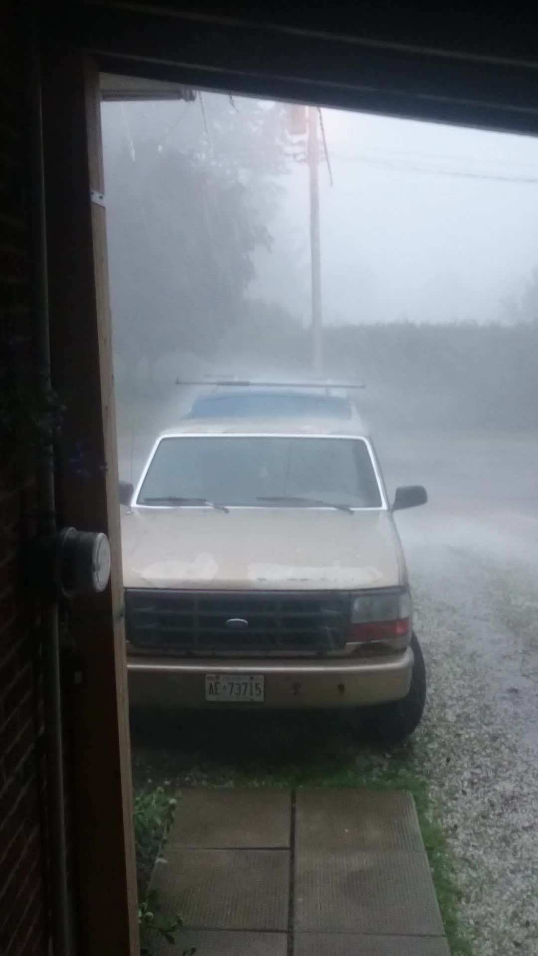 WILD RAIN STORM