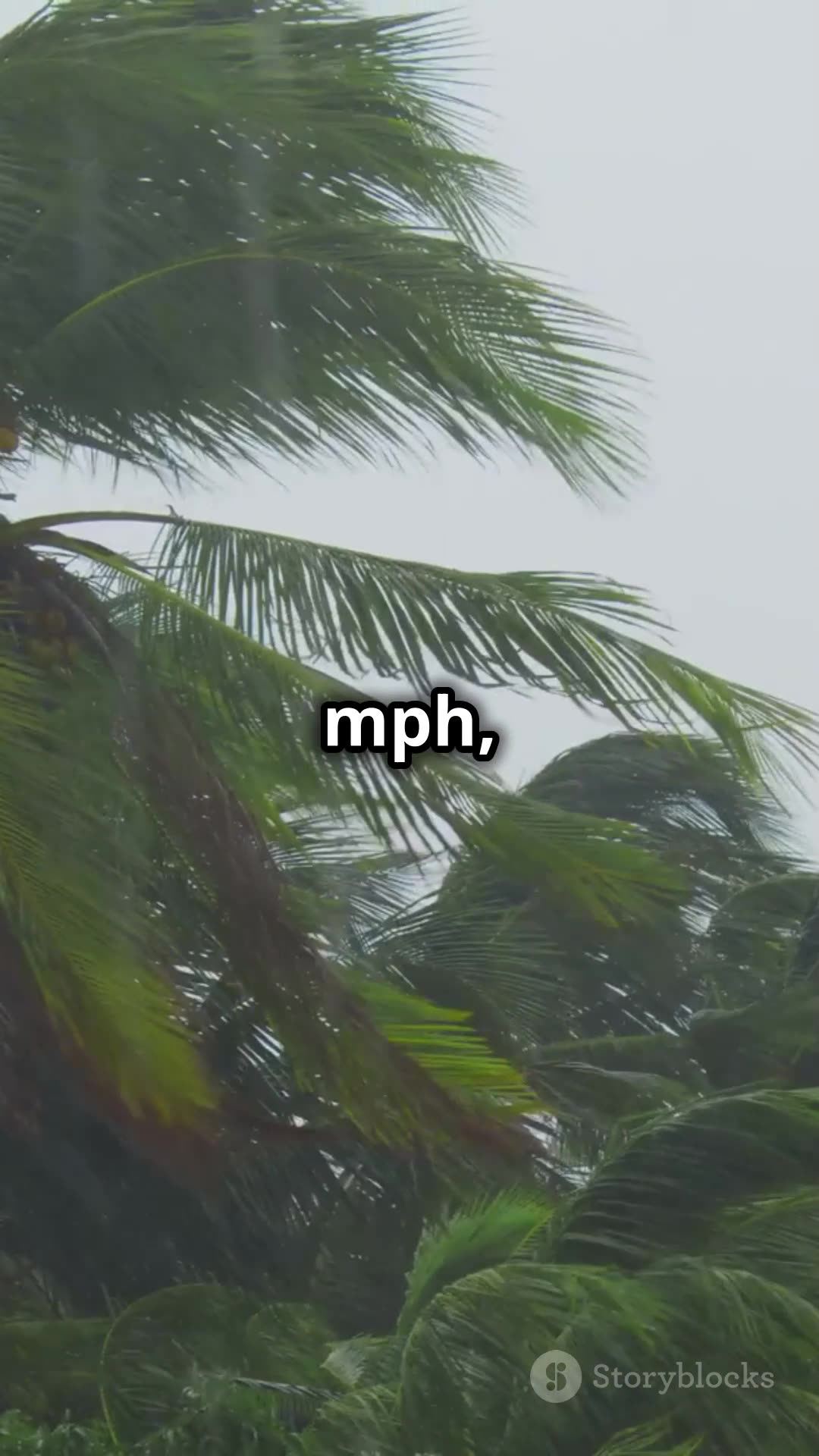 national hurricane center