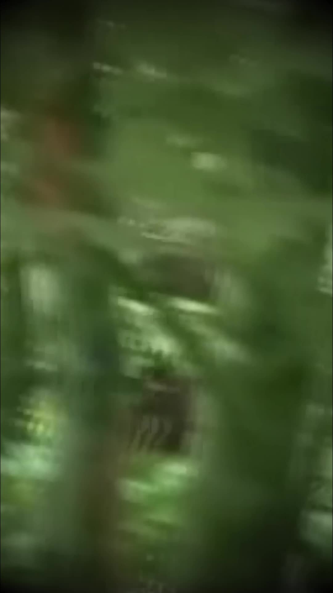 The Bardin Booger