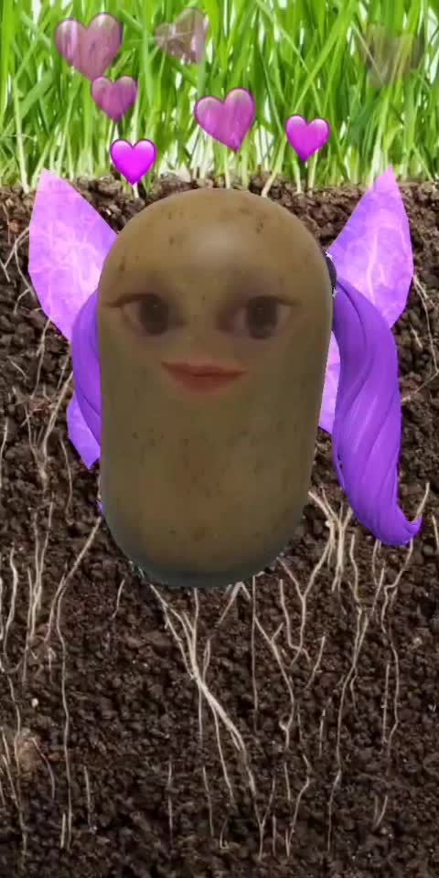 Potato fairy