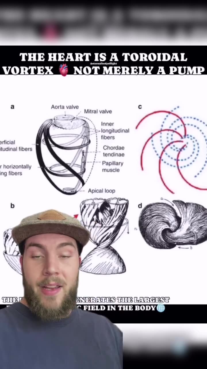 Your Heart is NOT a pump