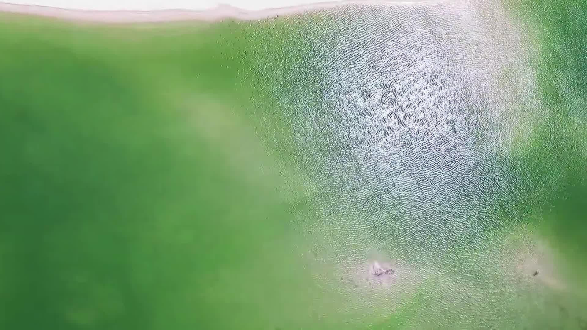 A rare oasis in the desert