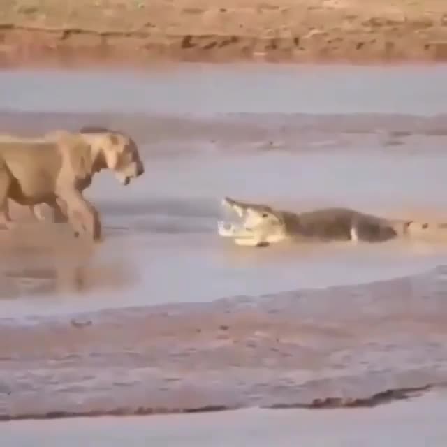 3 against 1