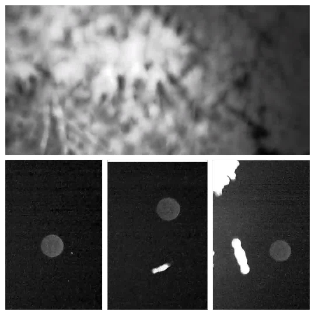 A Single Orb Passing in The night