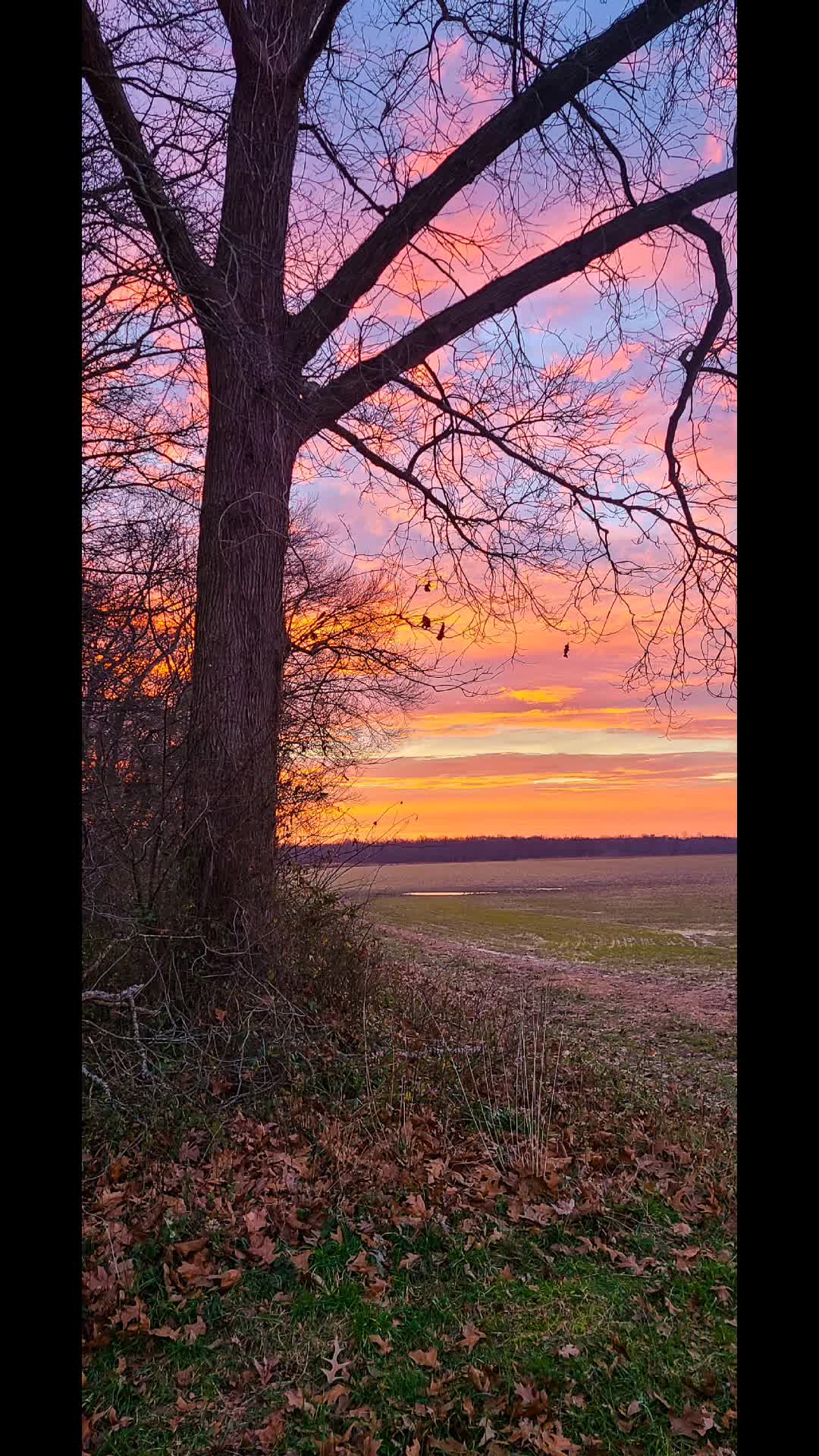 24 Hours In Pictures from Little Red Bird Productions