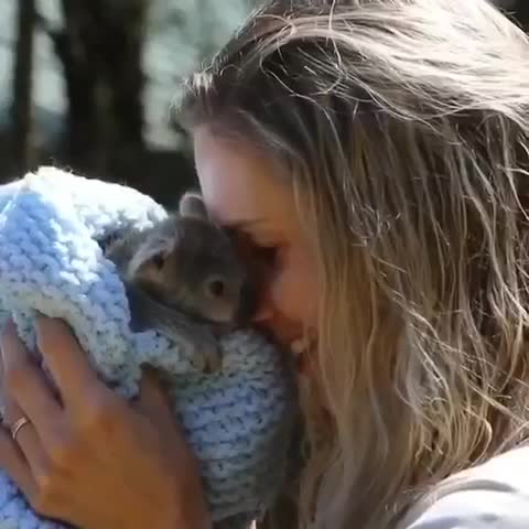 Meet Elsa the koala joey ️