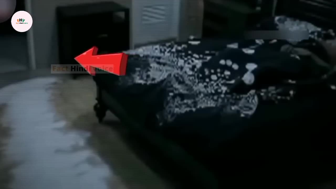 top 15 ghost