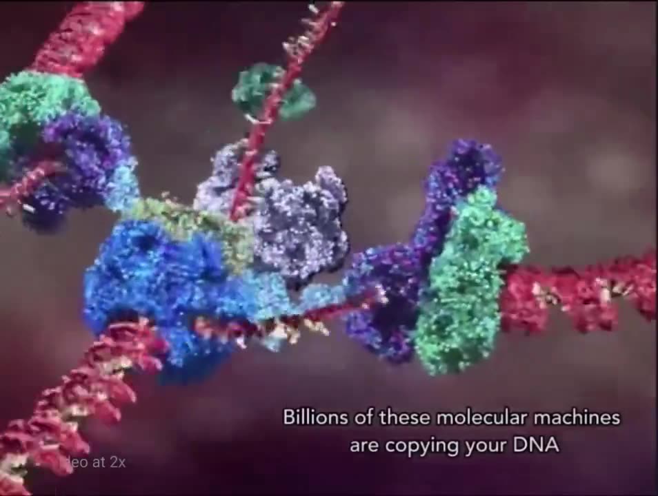 Visualization of Ai editing human DNA using the gene editor OPENCRISPR-1.