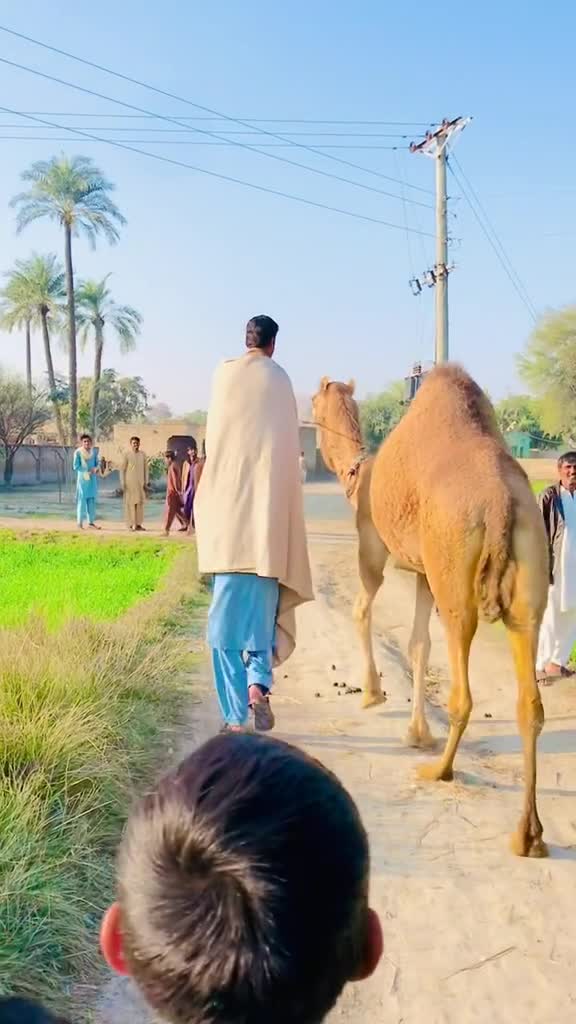 The tallest man in the world unbelievable man