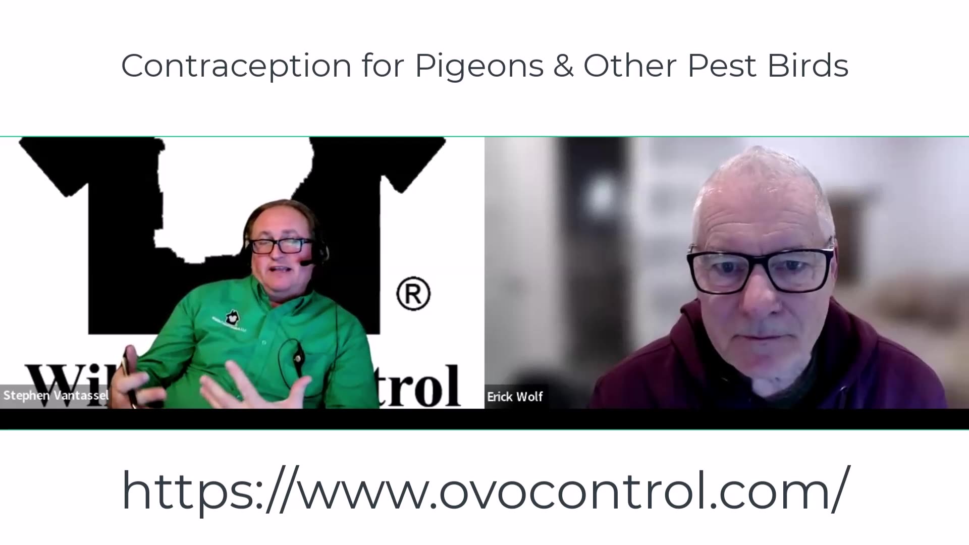 Birth Control for Pigeons Talking OvoControl with Erick Wolf of ...