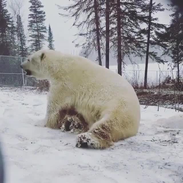 Teddy bear having fun