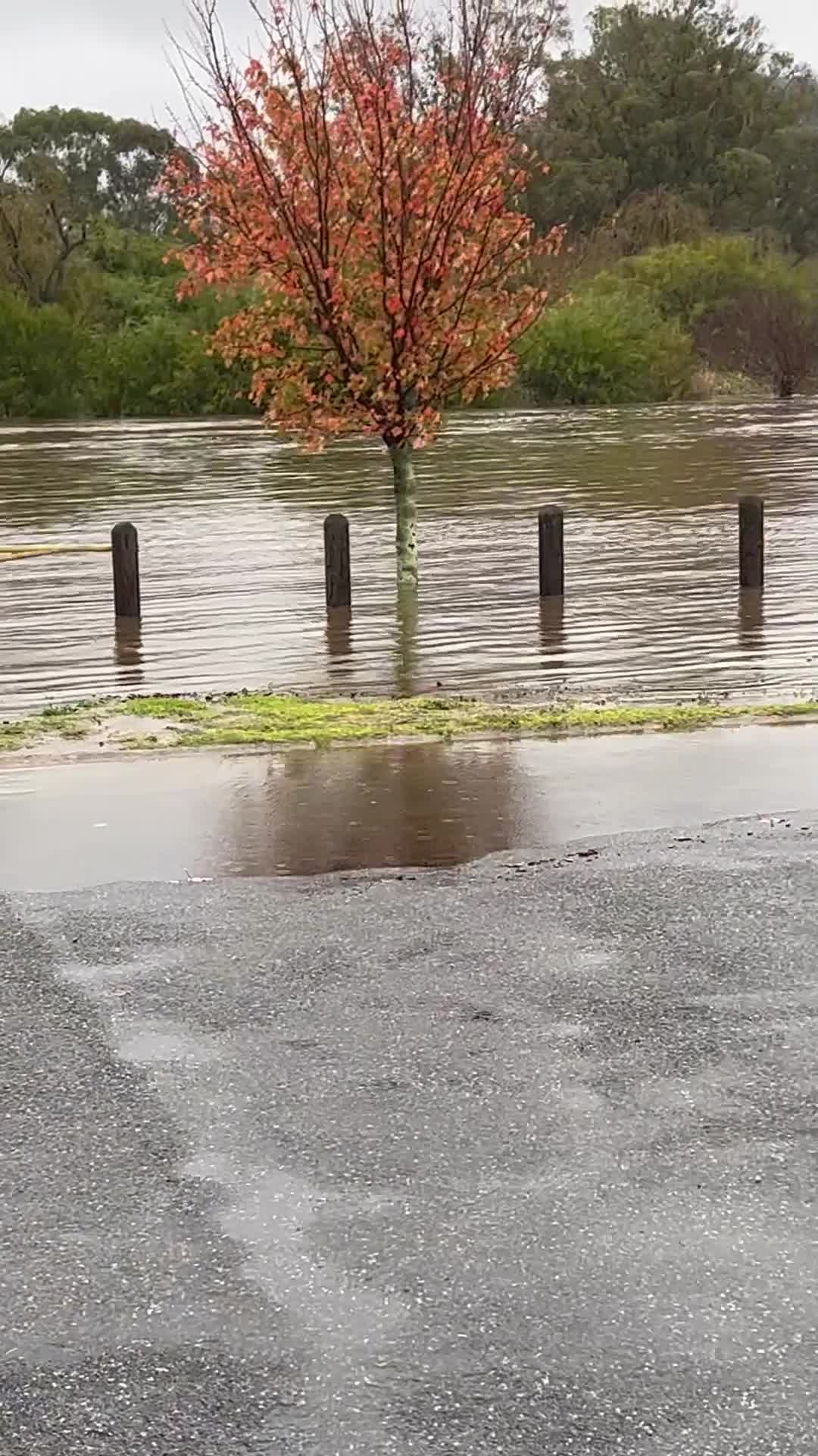 Flooding in Stanthorpe, Queensland