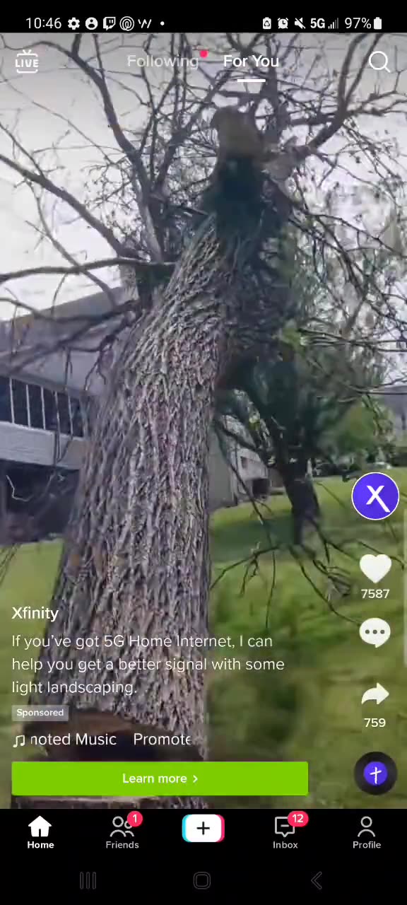 Trees block the internet 5G signal so the solution to 5G pollution is ...