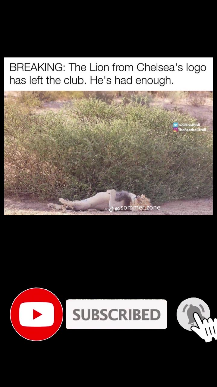 Funny chelsea Tiktok memes Part 10 | Premier League Memes