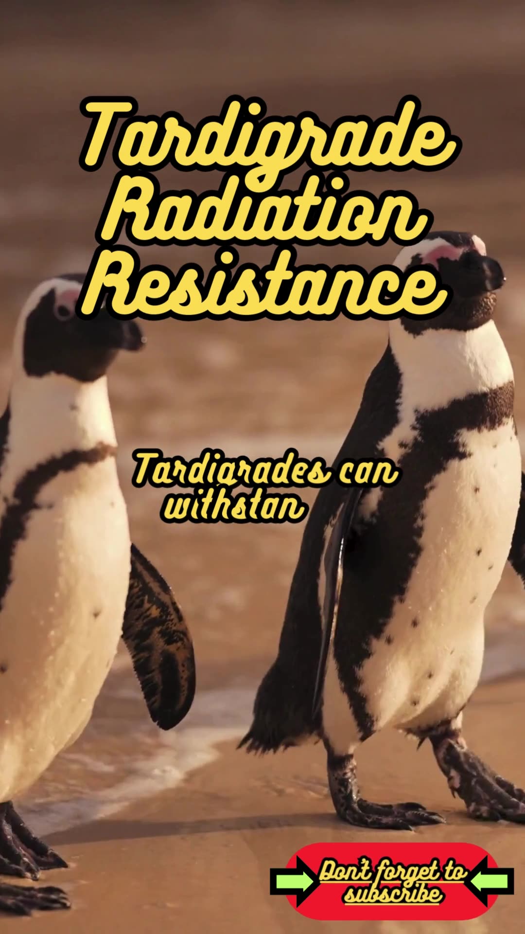 Animal Facts Tardigrade Radiation Resistance #shorts