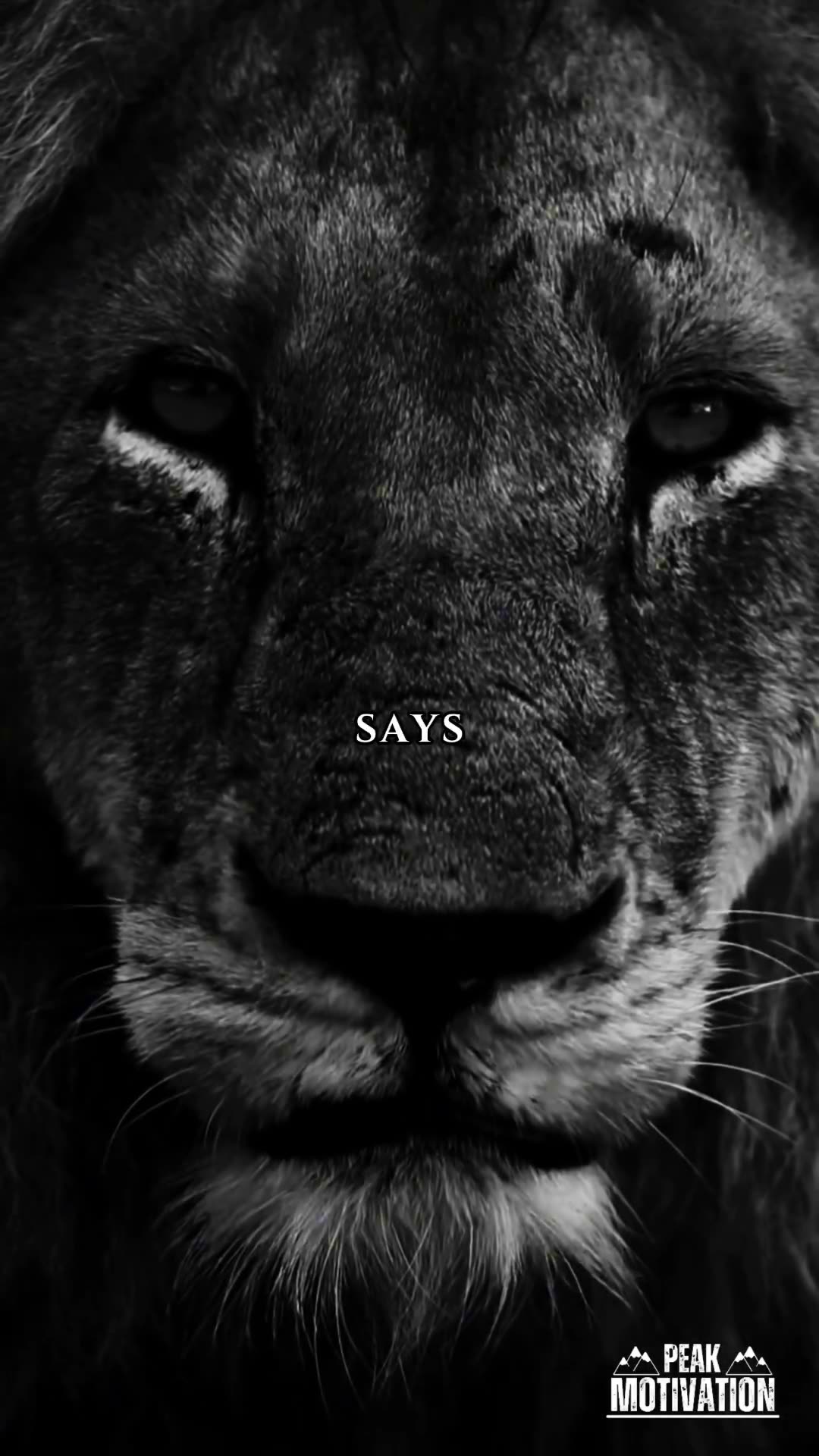 One Of The Hardest Hitting Quotes Ever.
