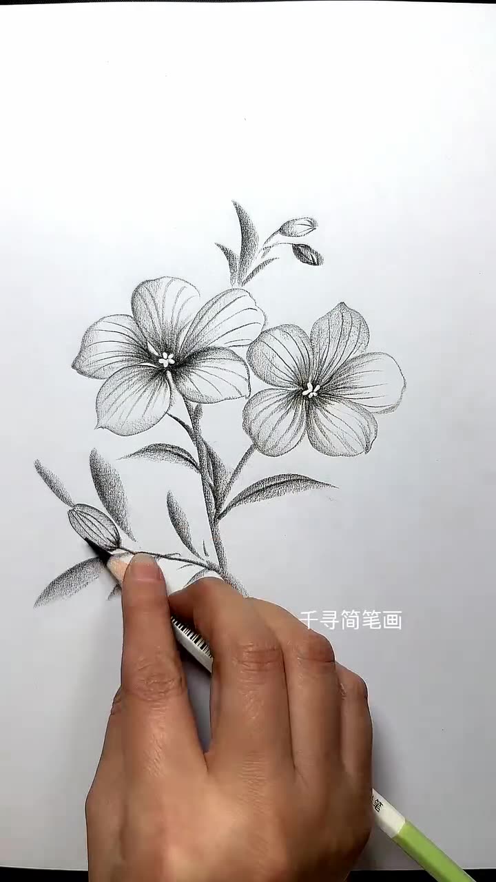 pencil drawing easy and beautiful