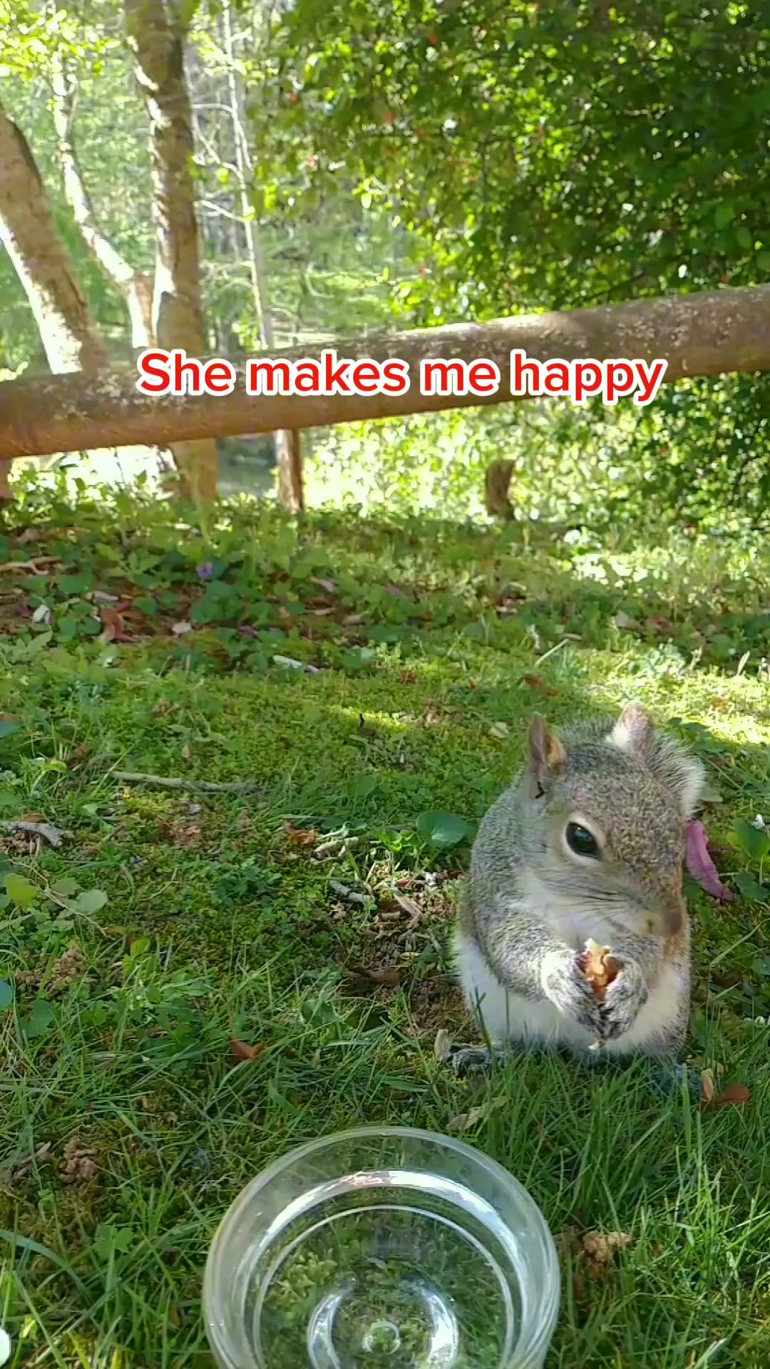 Mika is so cute and adorable 🐿️ love her much 🐿️💖