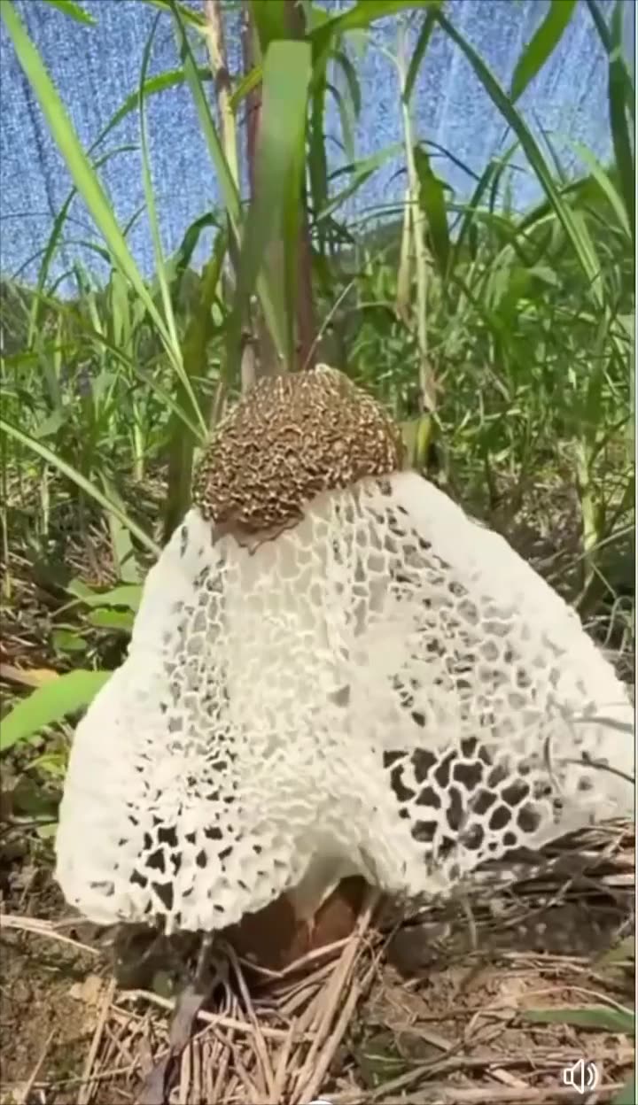 How beautiful is nature