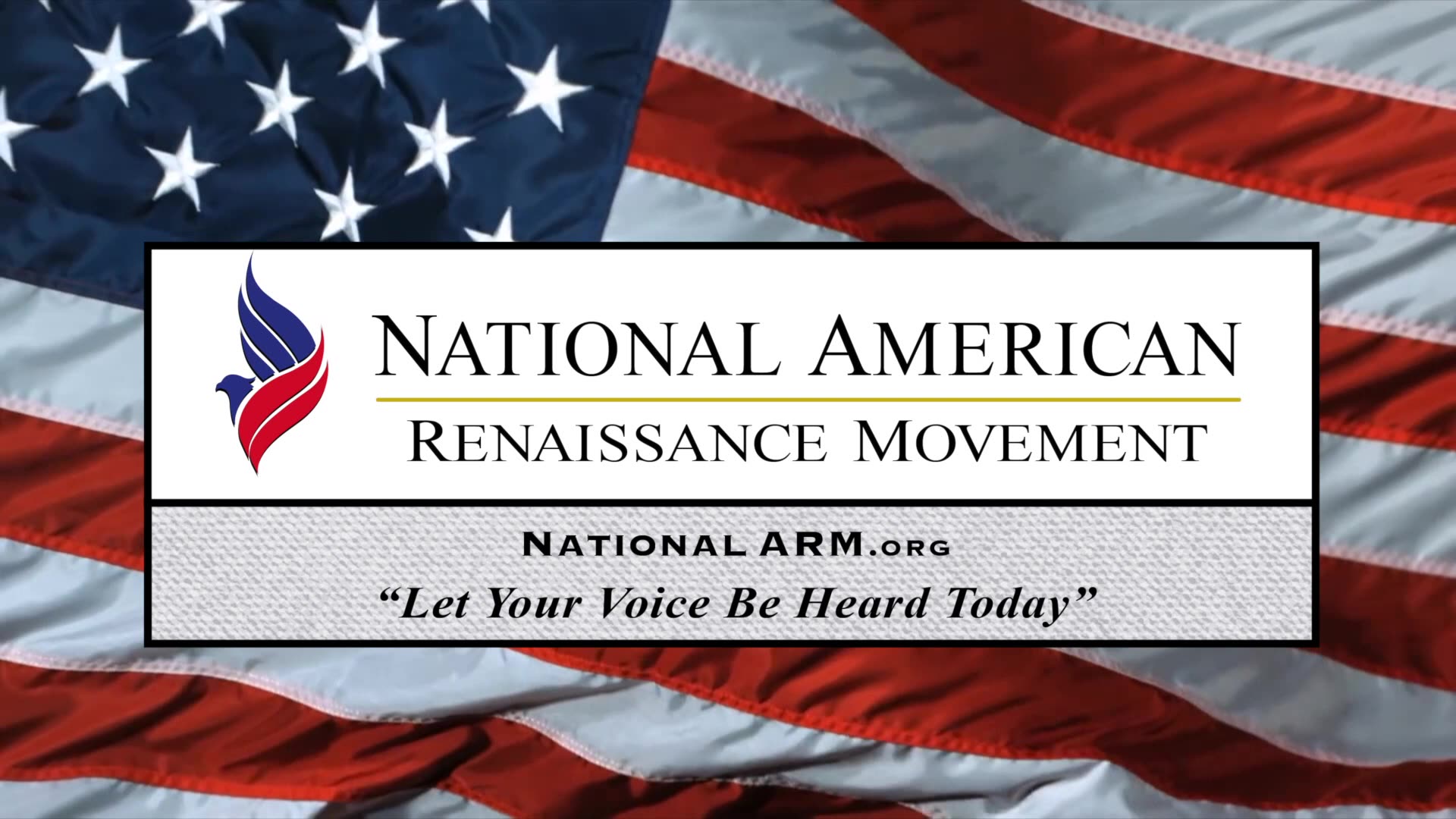 Declaration of the National American Renaissance Movement Regarding the ...