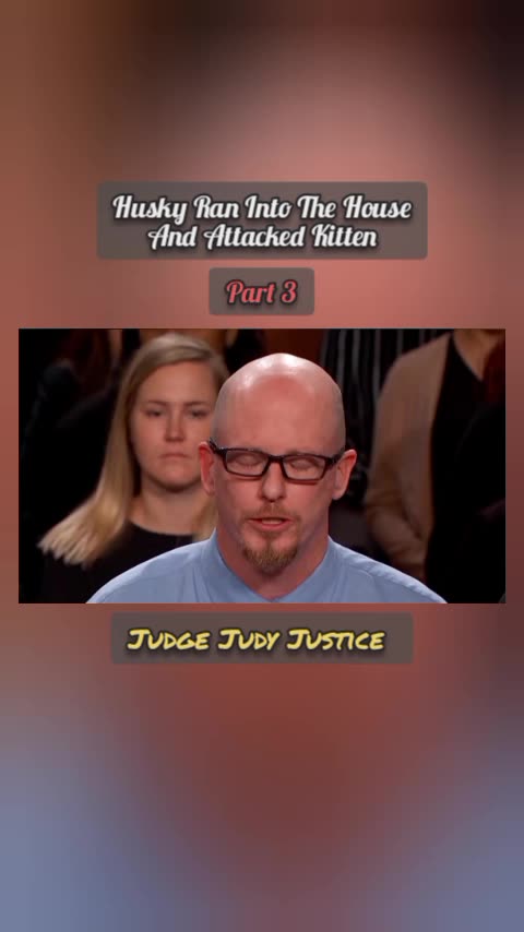 Husky Ran Into The House And Attacked Kitten | Part 3 | Judge Judy Justice