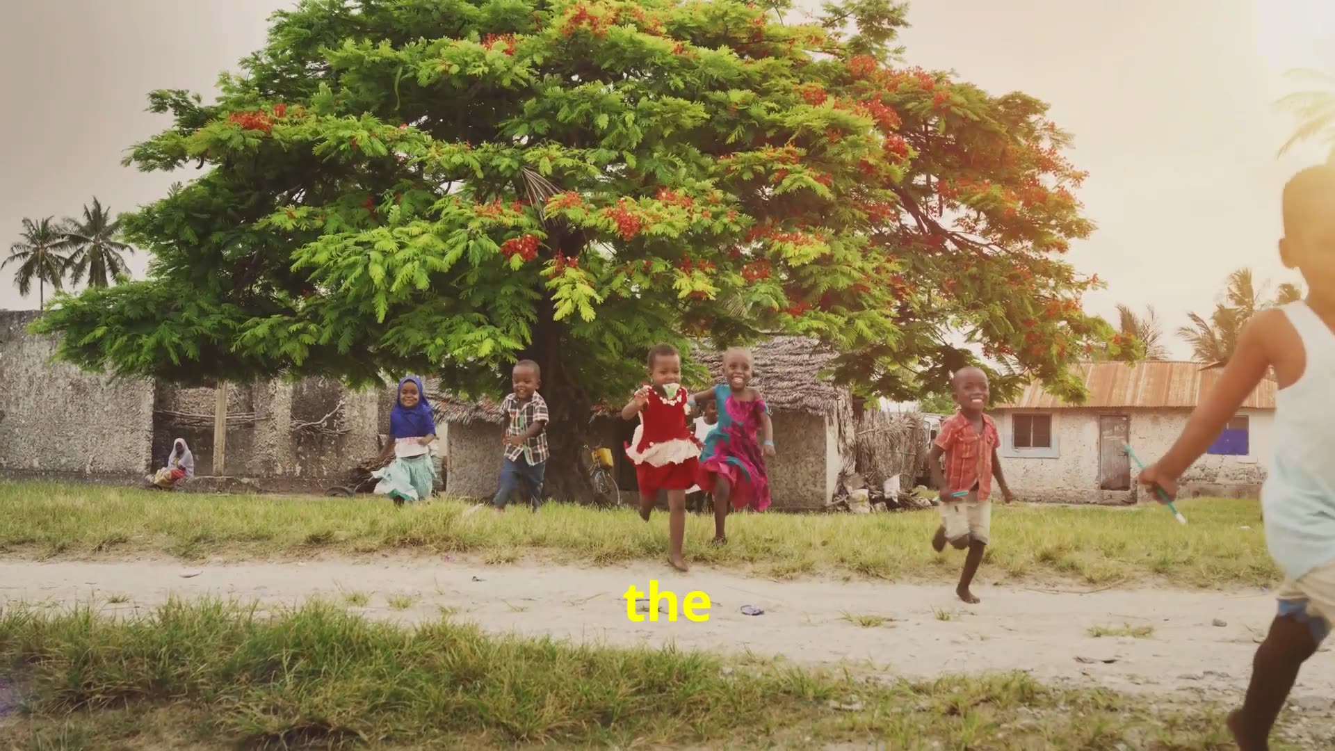 Timmy and the Magic Tree | Moral Story | Kids Stories | Motivational ...