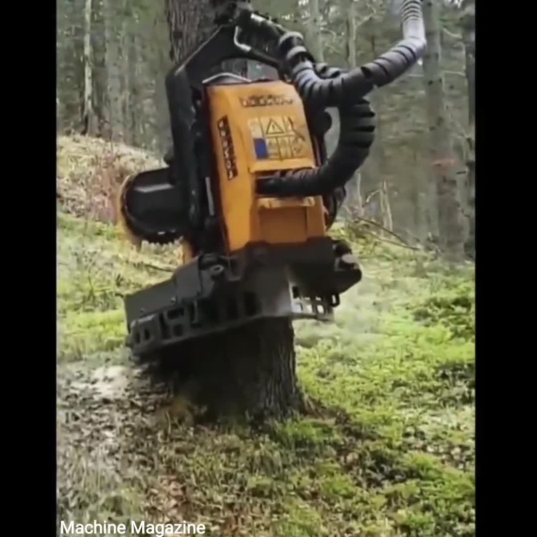 Tree Cutter