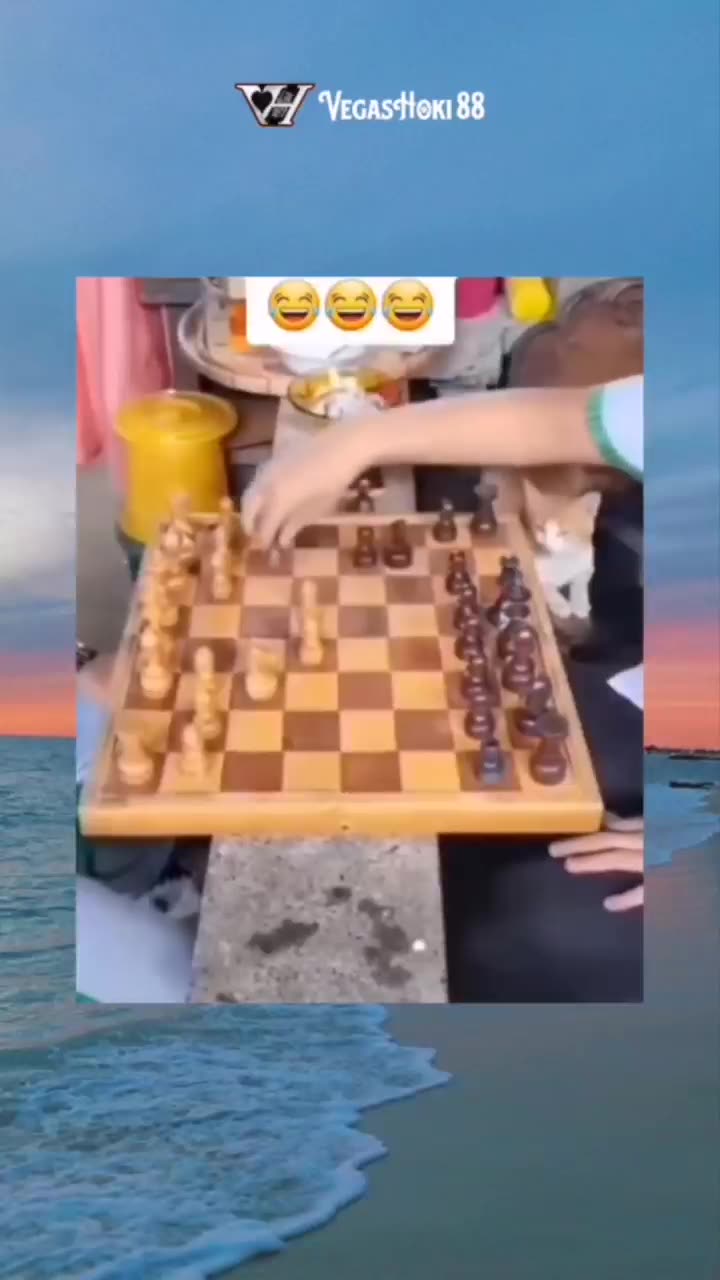 These Two Just Unlocked A different Level Chess
