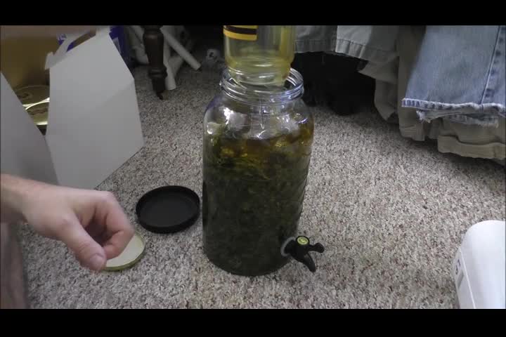 Infusing Honey With Decarbed Cannabis Finale