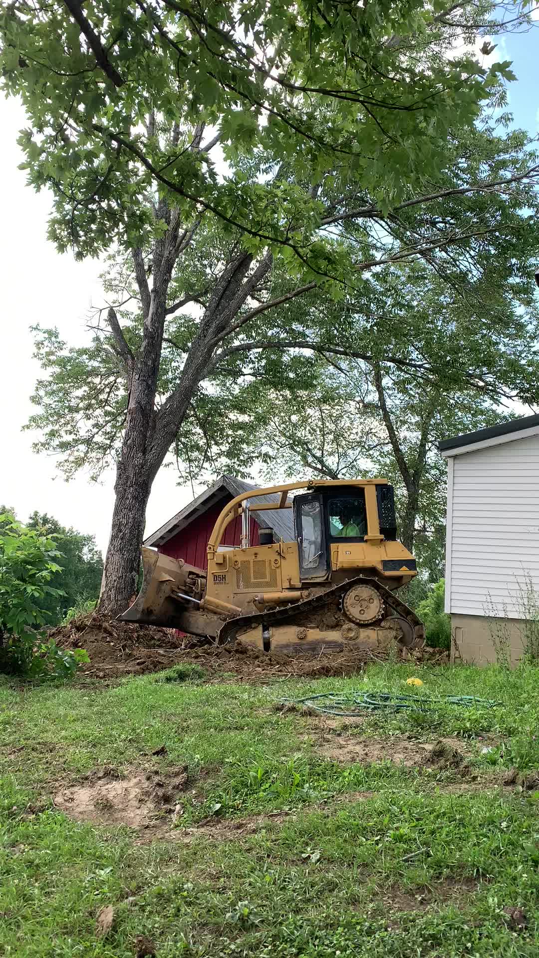 Pushing Trees out with the CAT D5 High Track