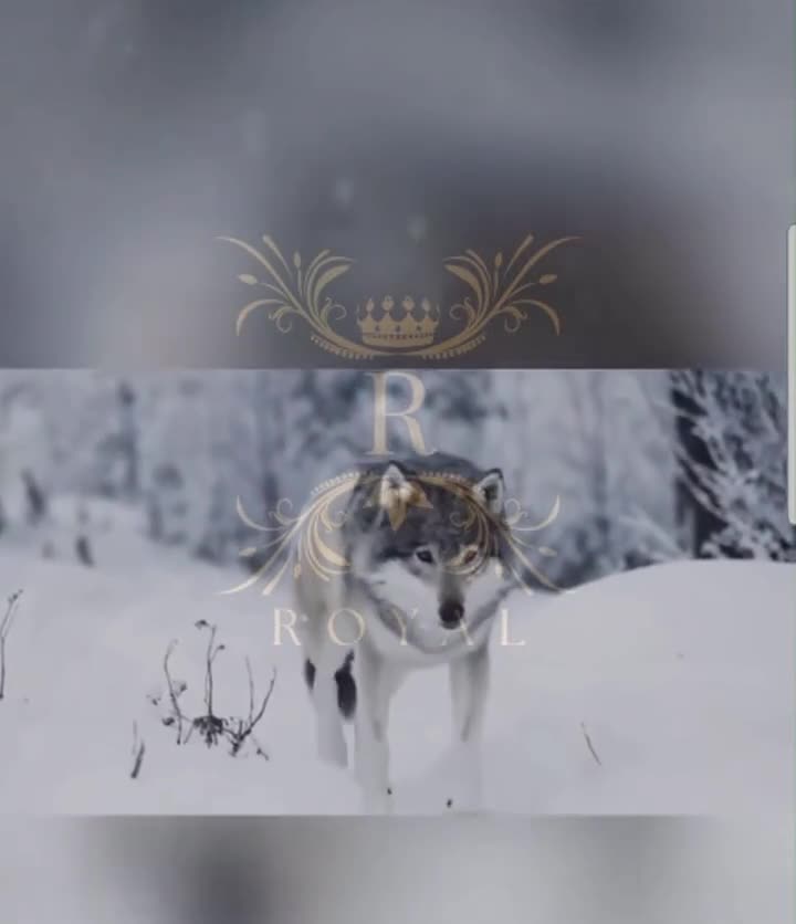 if you look close enough you'll see the determination in his soul to ...