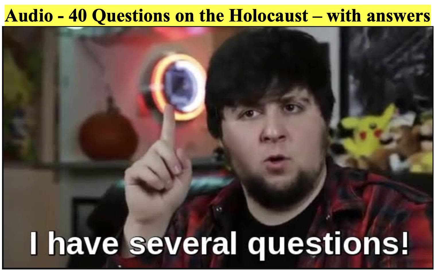 40 Q&A on the Holohoax