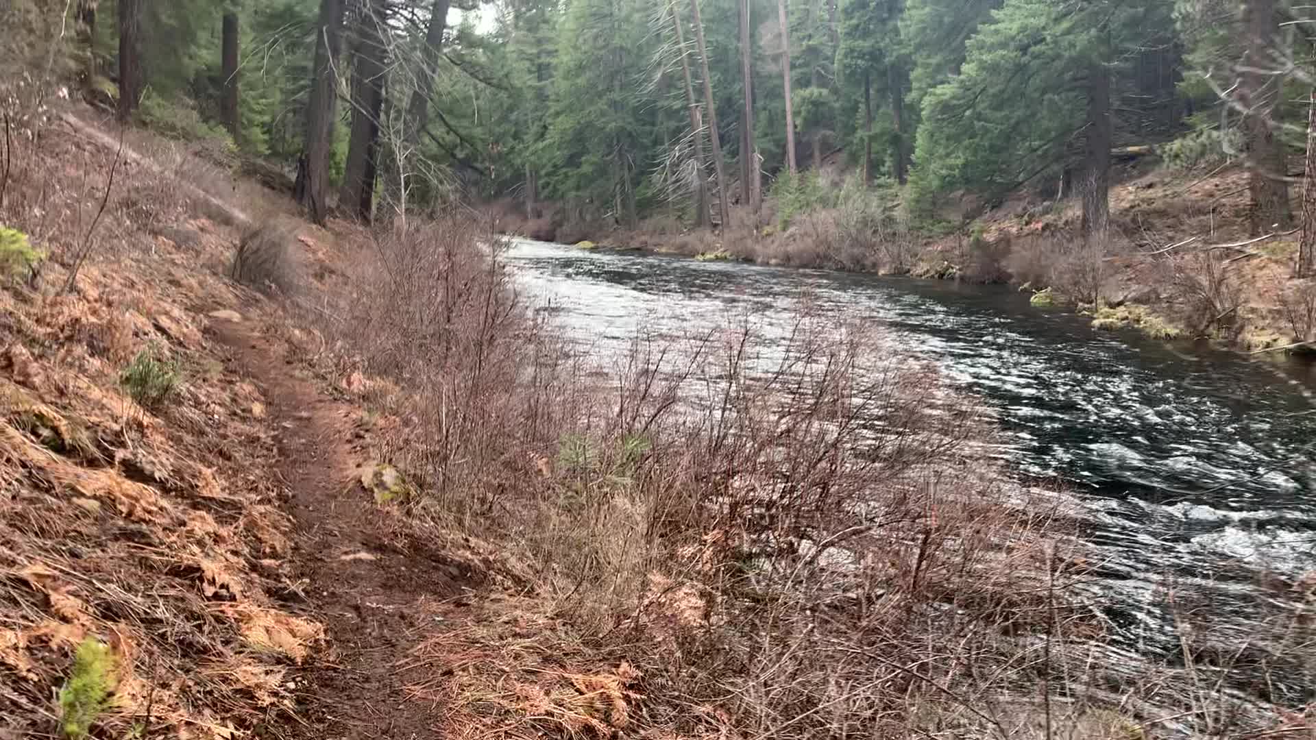 Hiking Beside the Forested River – Metolius River National Recreation ...