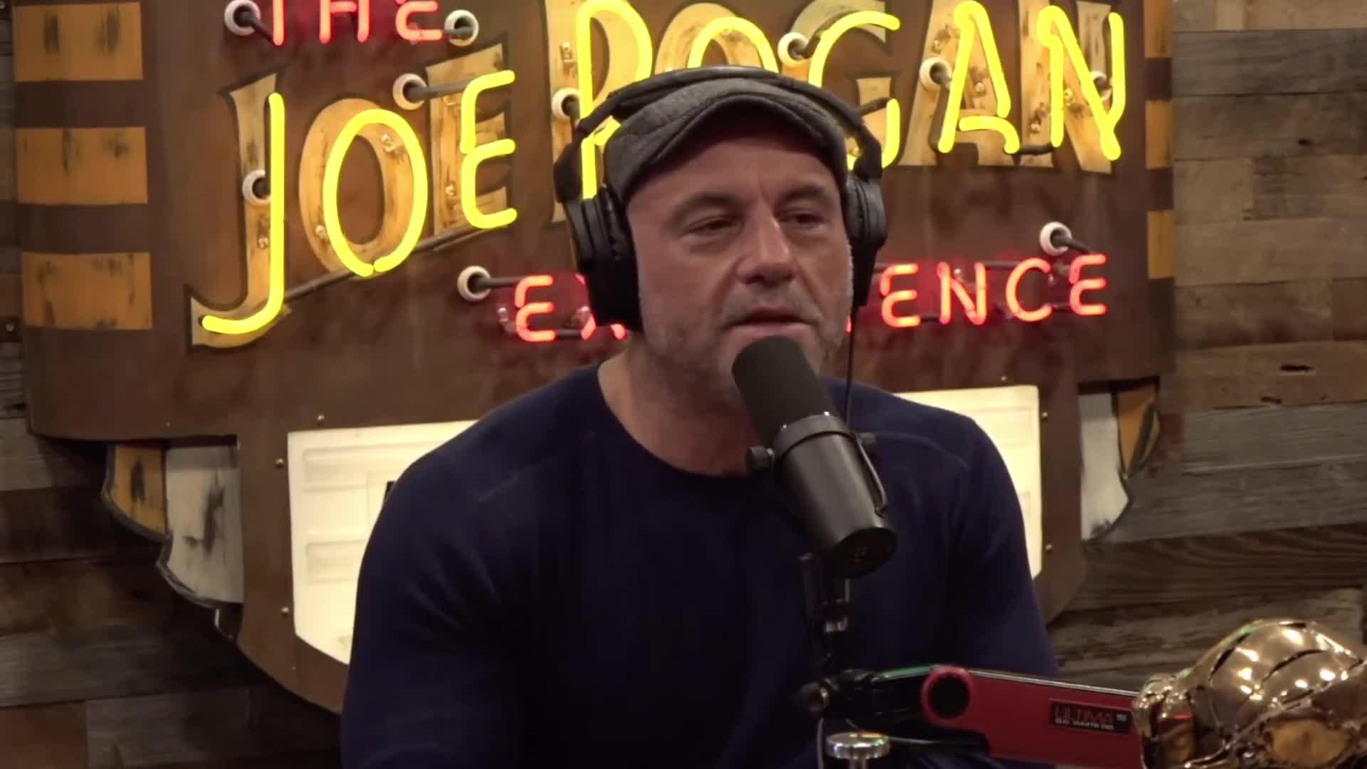 Joe Rogan: How To Become a Master! It's Ok To Have A Snake In The Room ...