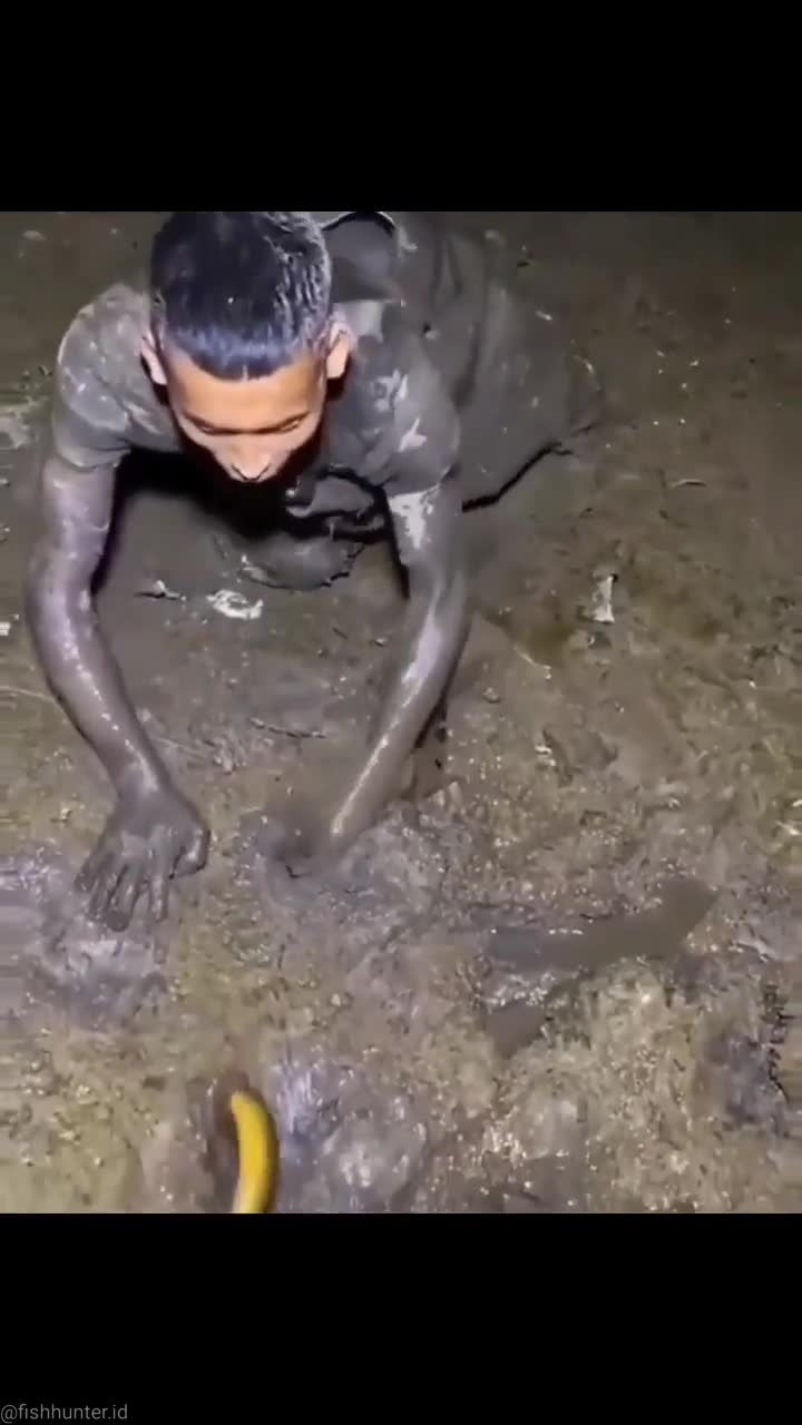 This is a beautiful and charming water-dwelling species