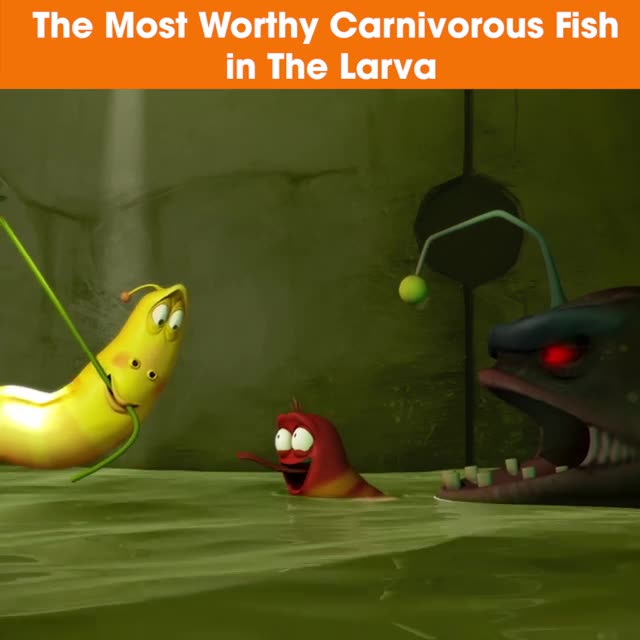 The Most Worthy Carnivorous Fish Of The Larva