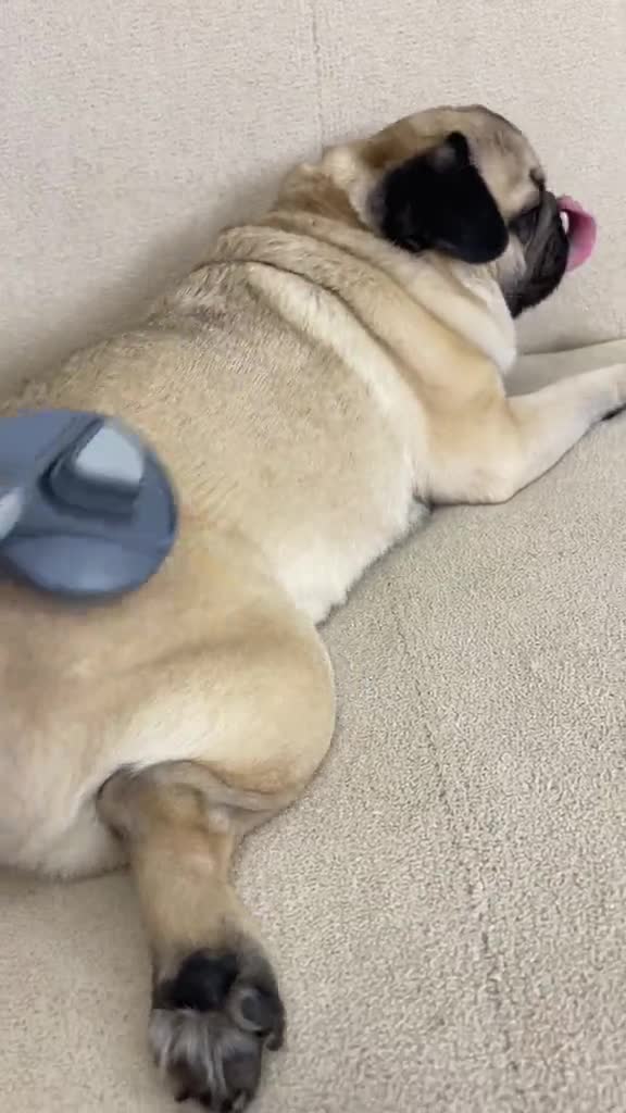 Making a Pug Hair Hat