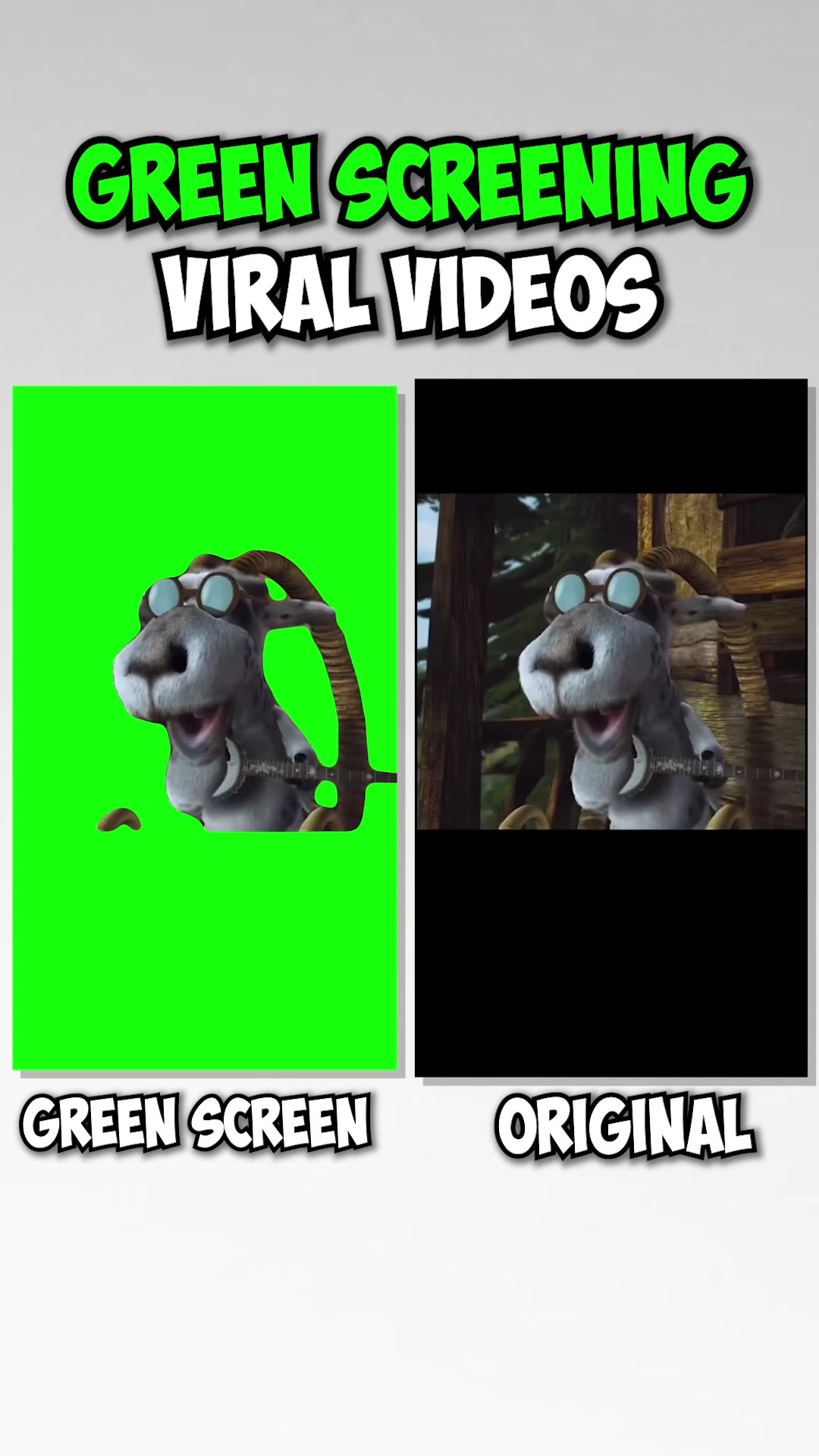 Hoodwinked Goat “Did I, Did I” Green Screen vs Original