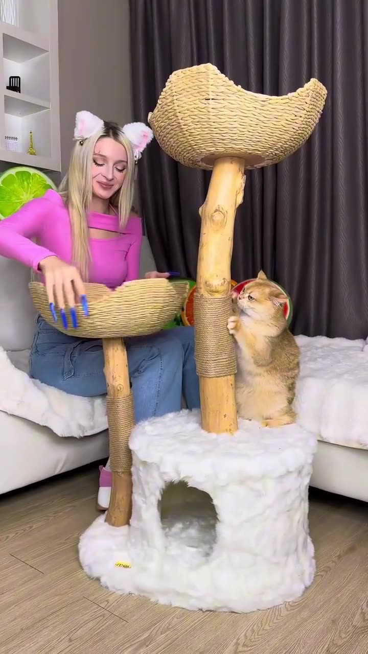 Giant CAT TREE for Nika Princess